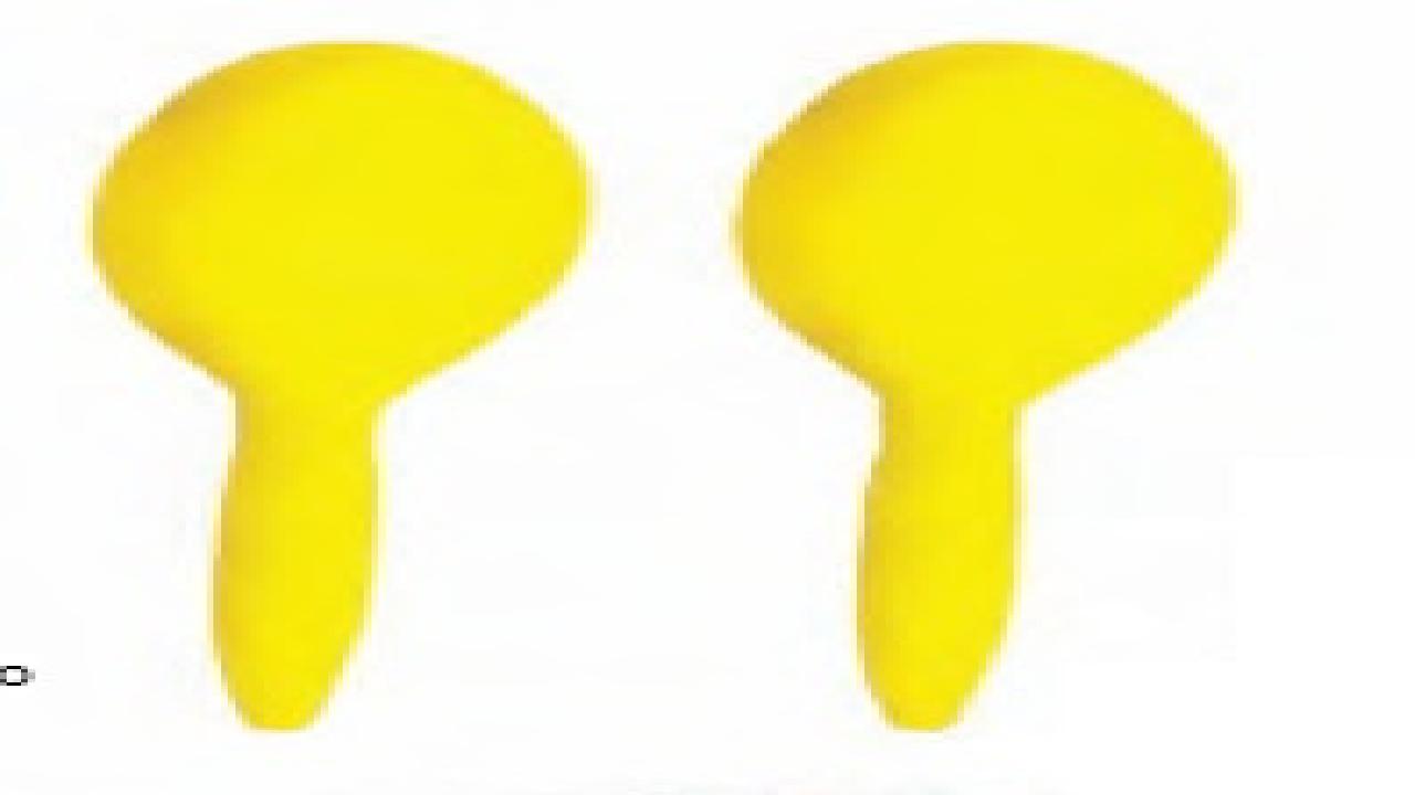 Maracas y Guiro